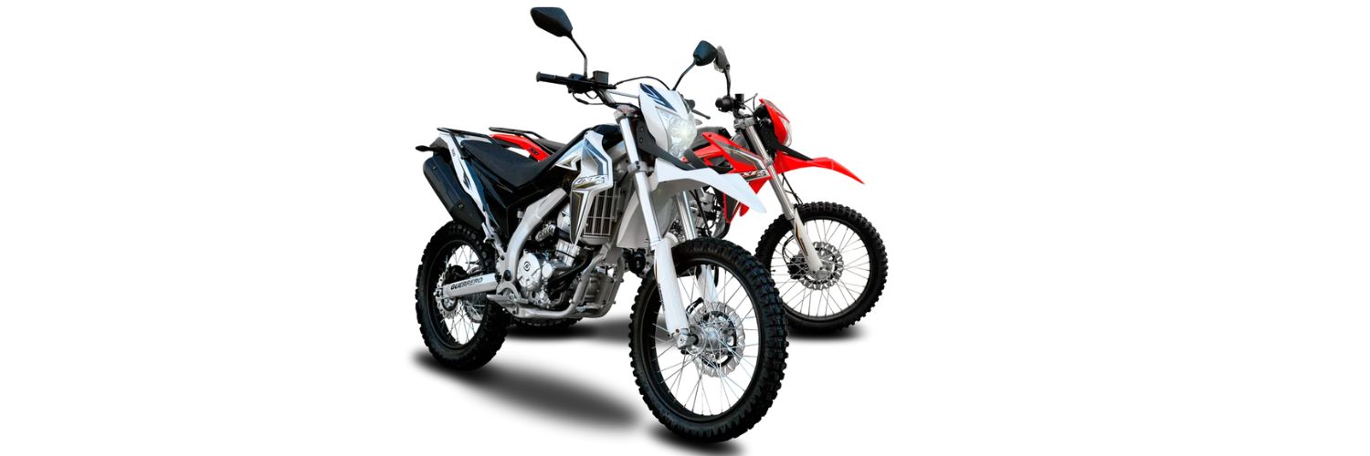 Guerrero GXR300 - Plan Gobierno