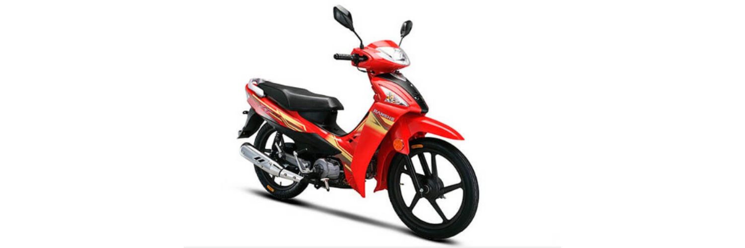 Jianshe JS 125 - Plan Gobierno