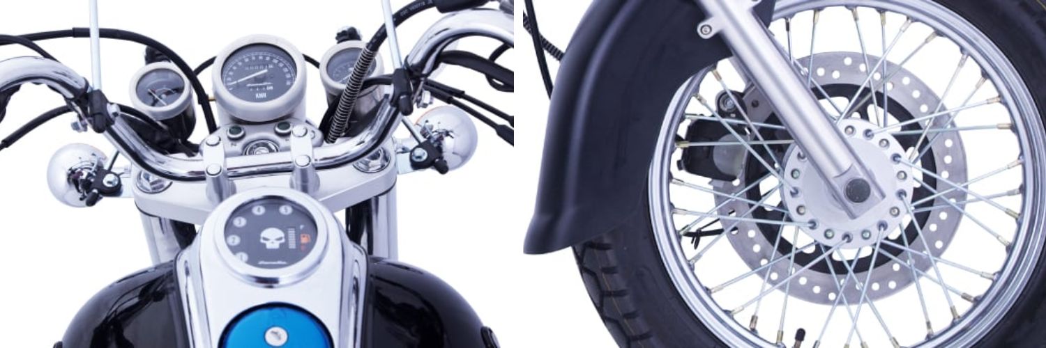 Zanella RZ 300 - Plan Gobierno